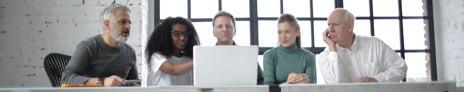 The Economics of Technology Investments: A Framework for IT Investment ...